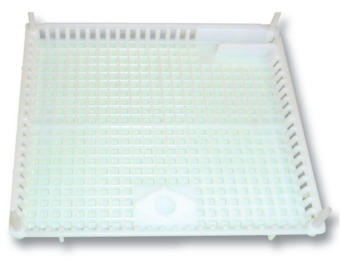 Cage introduction reine pour apiculteur | ICKO Apiculture