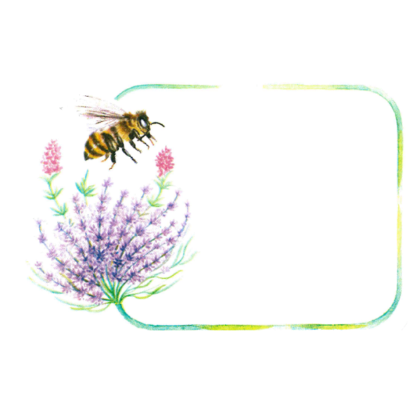 Etiquettes miel abeille fleur 90x60mm - rouleau 1500