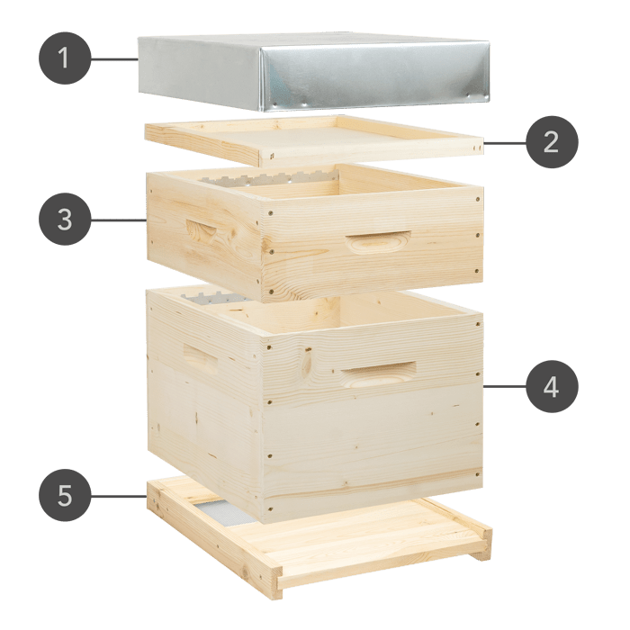 Je compose ma ruche Dadant 10 Cadres | ICKO Apiculture
