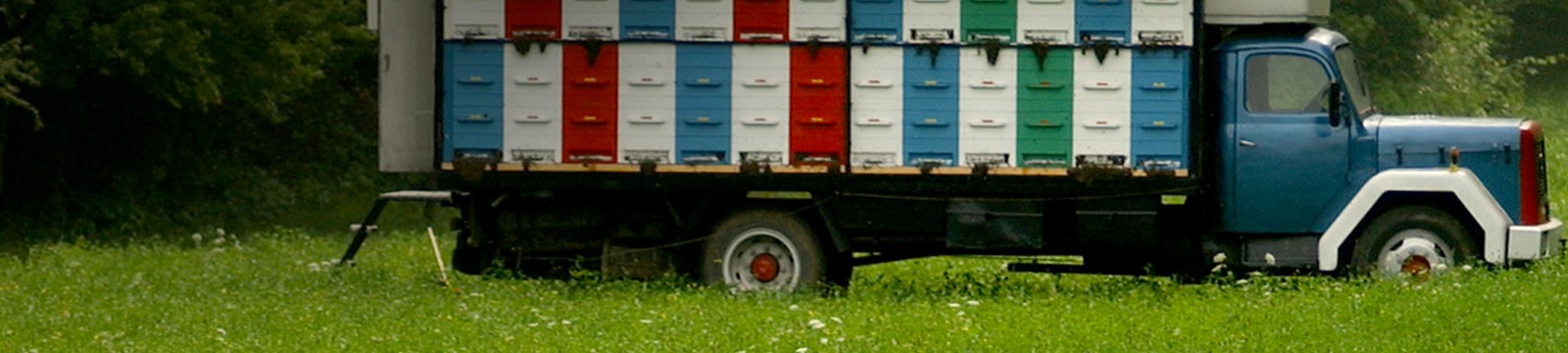 Vente de matériel apiculture, équipement apiculteur - Icko, fournisseur ...
